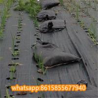 China PP Woven Anti Weed Mat Ground Cover 90gsm UV Treated 3-5 Year Lifespan for sale