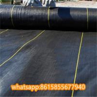 China PP Woven Anti Weed Mat Ground Cover 90gsm UV Treated 3-5 Year Lifespan for sale