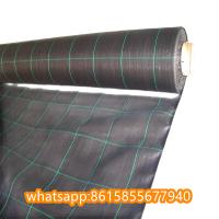 China PP Woven Anti Weed Mat Ground Cover 90gsm UV Treated 3-5 Year Lifespan for sale
