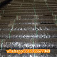 China PP Woven Anti Weed Mat Ground Cover 90gsm UV Treated 3-5 Year Lifespan for sale