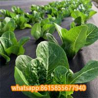 China PP Woven Anti Weed Mat Ground Cover 90gsm UV Treated 3-5 Year Lifespan for sale