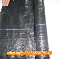 China PP Woven Anti Weed Mat Ground Cover 90gsm UV Treated 3-5 Year Lifespan for sale