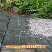 China PP Woven Anti Weed Mat Ground Cover 90gsm UV Treated 3-5 Year Lifespan for sale