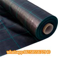 China PP Woven Anti Weed Mat Ground Cover 90gsm UV Treated 3-5 Year Lifespan for sale