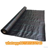 China PP Woven Anti Weed Mat Ground Cover 90gsm UV Treated 3-5 Year Lifespan for sale