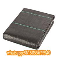 China PP Woven Anti Weed Mat Ground Cover 90gsm UV Treated 3-5 Year Lifespan for sale