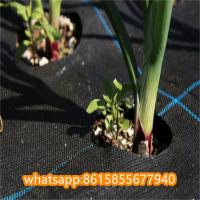 China PP Woven Anti Weed Mat Ground Cover 90gsm UV Treated 3-5 Year Lifespan for sale