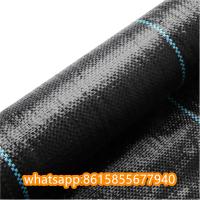 China PP Woven Anti Weed Mat Ground Cover 90gsm UV Treated 3-5 Year Lifespan for sale