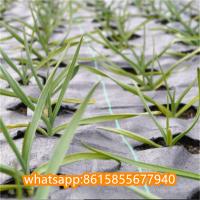 China PP Woven Anti Weed Mat Ground Cover 90gsm UV Treated 3-5 Year Lifespan for sale