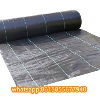 China PP Woven Anti Weed Mat Ground Cover 90gsm UV Treated 3-5 Year Lifespan for sale