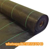 China PP Woven Anti Weed Mat Ground Cover 90gsm UV Treated 3-5 Year Lifespan for sale