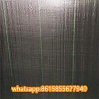 China PP Woven Anti Weed Mat Ground Cover 90gsm UV Treated 3-5 Year Lifespan for sale
