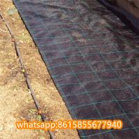 China PP Woven Anti Weed Mat Ground Cover 90gsm UV Treated 3-5 Year Lifespan for sale