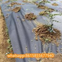 China PP Woven Anti Weed Mat Ground Cover 90gsm UV Treated 3-5 Year Lifespan for sale