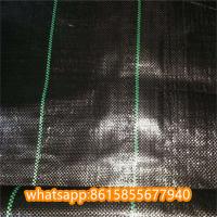 China PP Woven Anti Weed Mat Ground Cover 90gsm UV Treated 3-5 Year Lifespan for sale