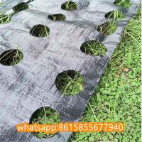 China PP Woven Anti Weed Mat Ground Cover 90gsm UV Treated 3-5 Year Lifespan for sale