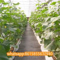 China PP Woven Anti Weed Mat Ground Cover 90gsm UV Treated 3-5 Year Lifespan for sale