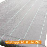 China PP Woven Anti Weed Mat Ground Cover 90gsm UV Treated 3-5 Year Lifespan for sale