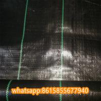 China PP Woven Anti Weed Mat Ground Cover 90gsm UV Treated 3-5 Year Lifespan for sale