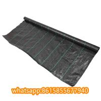 China PP Woven Anti Weed Mat Ground Cover 90gsm UV Treated 3-5 Year Lifespan for sale