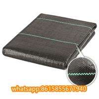 China PP Woven Anti Weed Mat Ground Cover 90gsm UV Treated 3-5 Year Lifespan for sale
