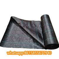 China PP Woven Anti Weed Mat Ground Cover 90gsm UV Treated 3-5 Year Lifespan for sale