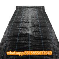 China PP Woven Anti Weed Mat Ground Cover 90gsm UV Treated 3-5 Year Lifespan for sale