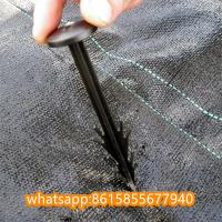 China PP Woven Anti Weed Mat Ground Cover 90gsm UV Treated 3-5 Year Lifespan for sale