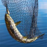 China High Strength Multi/Multifilament Nylon/Polester Fishing Net Sardin Net for sale