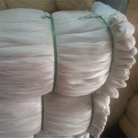 China High Strength Nylon Monofilament Fishing Net 0.15mm Twine ISO9001 Certified for sale