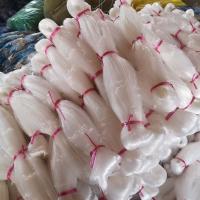 China Nylon Multifilament Fishing Net 210D/12 Twine Knotted Knotless Custom Mesh Size for sale