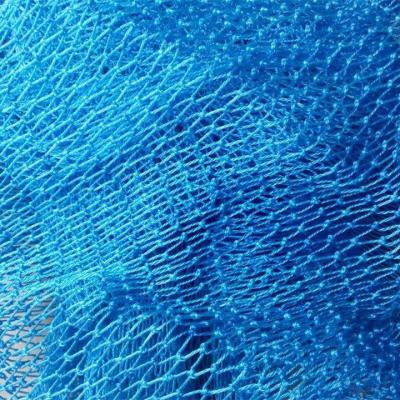 China HDPE Nylon Fishing Net 0.8mm-8.0mm Twine Knotted Knotless Custom Mesh Size for Commercial Fishing for sale