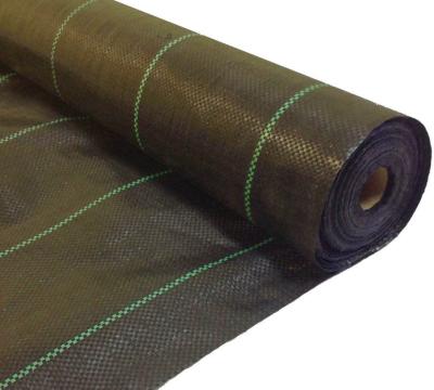 China Wholesale Anti Weed Mat Woven Polypropylene Ground Cover 100gsm Weed Barrier Fabric for Agriculture for sale