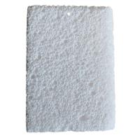 China Stone Grill Cleaning Brush, White/Black for sale