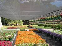 China HDPE UV Stabilized Shade Net 80g 90% Shade Rate for Greenhouse Agriculture for sale