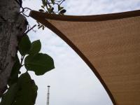 China Outdoor HDPE Monofilament Sun Shade Net For Vegetable , Fruit Tree for sale