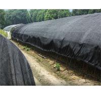 China HDPE Anti UV Shade Net 50-180gsm 50-95% Shade Rate for Horticulture for sale