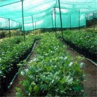 China HDPE UV Protected Shade Net 90gsm 90% Shade Rate for Agriculture Farms for sale