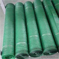 China HDPE Anti UV Green Shade Netting 60gsm 100gsm for Horticulture for sale