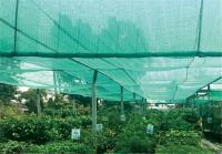 China HDPE Anti UV Green Shade Netting 60gsm 100gsm for Horticulture for sale