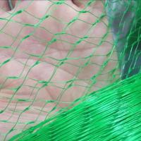 China HDPE mono anti bird netting for sale