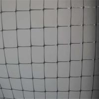 China HDPE Agricultural Anti Bird Net 15mm Mesh UV Protected 1m-16m Width 50m Roll for sale