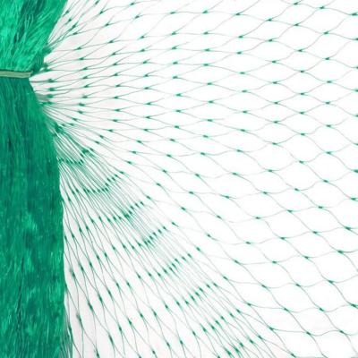 China UV Stabilized HDPE Anti Bird Netting 15mm Mesh for Orchard Garden Fruit Tree Protection for sale