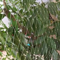 China HDPE Anti Bird Netting 15mm Mesh Size 1m to 16m Width UV Protected for Fruit Trees for sale