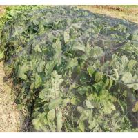 China white agricultural anti insect net for sale