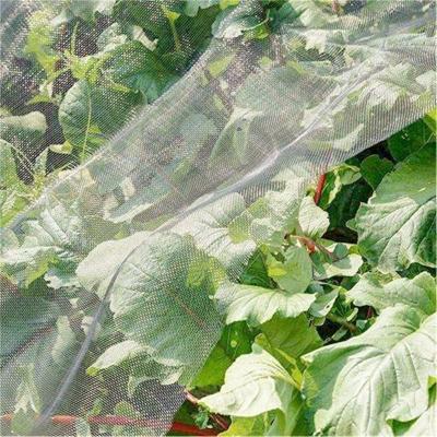 China HDPE Anti Insect Net 40x25 Mesh for Greenhouse Protection UV Treated 1m to 5m Width for sale