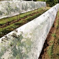 China HDPE Anti Insect Net 40x25 Mesh for Greenhouse Protection UV Treated 1m to 5m Width for sale