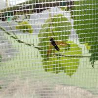 China HDPE Anti Insect Net 40 Mesh Greenhouse Insect Proof Netting 1m-5m Width UV Protected for sale