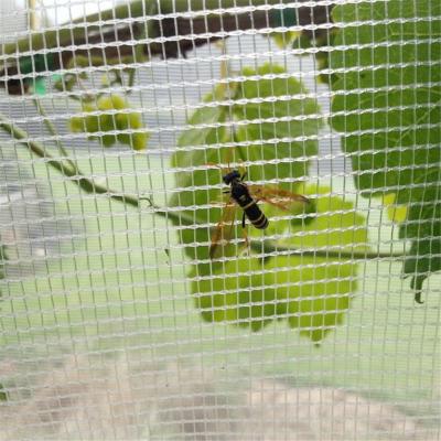 China HDPE Anti Insect Net 40 Mesh Greenhouse Insect Proof Netting 1m-5m Width UV Protected for sale