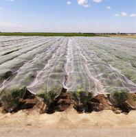 China 100% HDPE Anti Insect Net for Greenhouse 50g to 150g per m2 4 to 6 Year Lifespan for sale